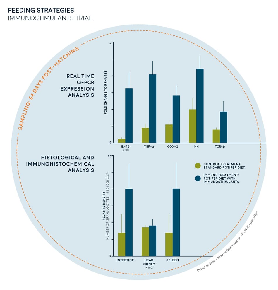 The long-term benefits of optimal early-life feeding strategies in ...