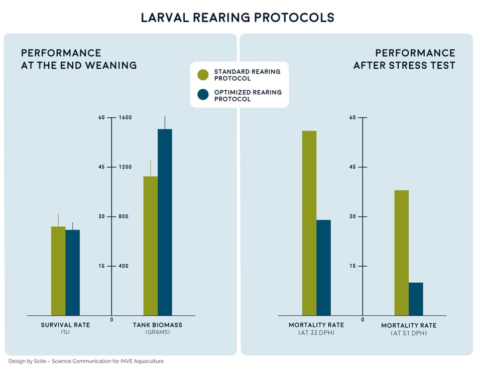 The long-term benefits of optimal early-life feeding strategies in ...