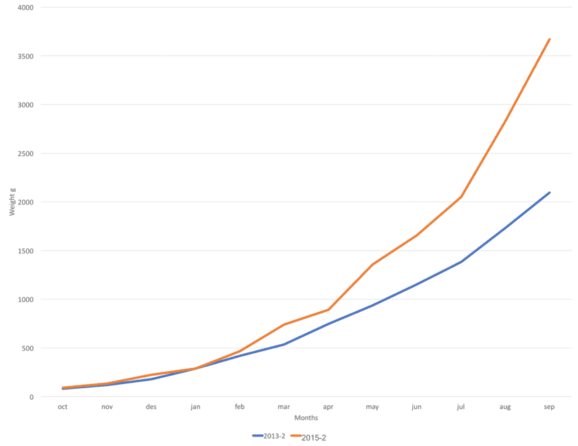 Impressive improvements in salmon growth rates | The Fish Site