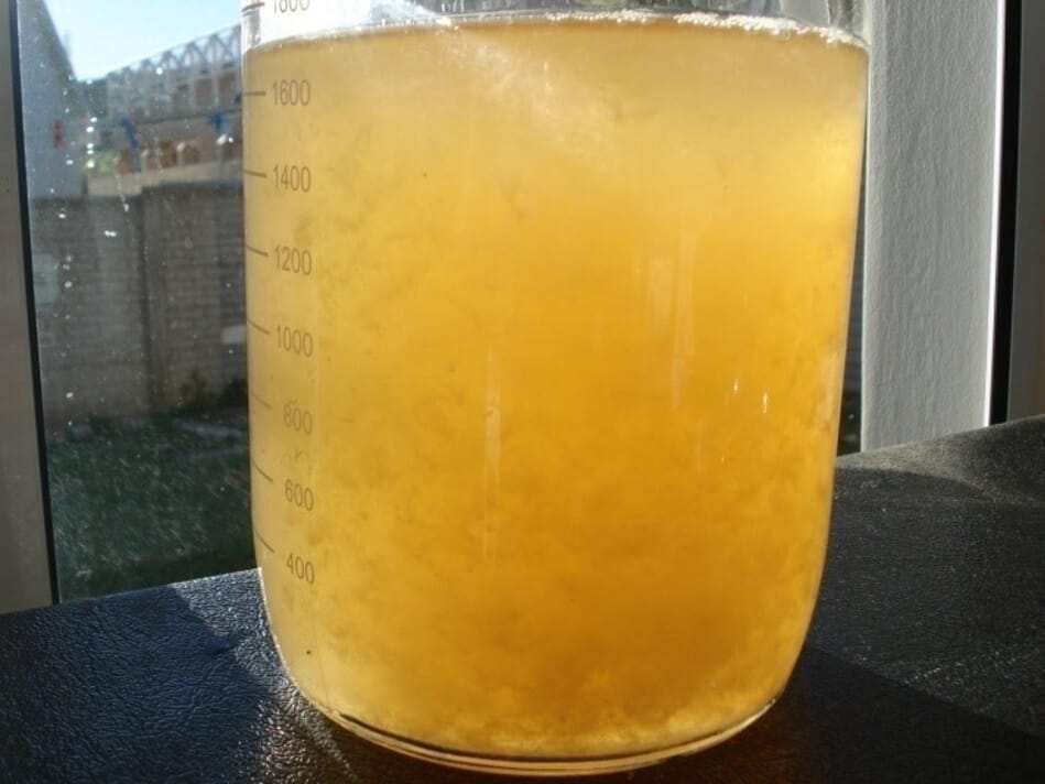 Four tips to optimise the stability of your biofloc system | The Fish Site