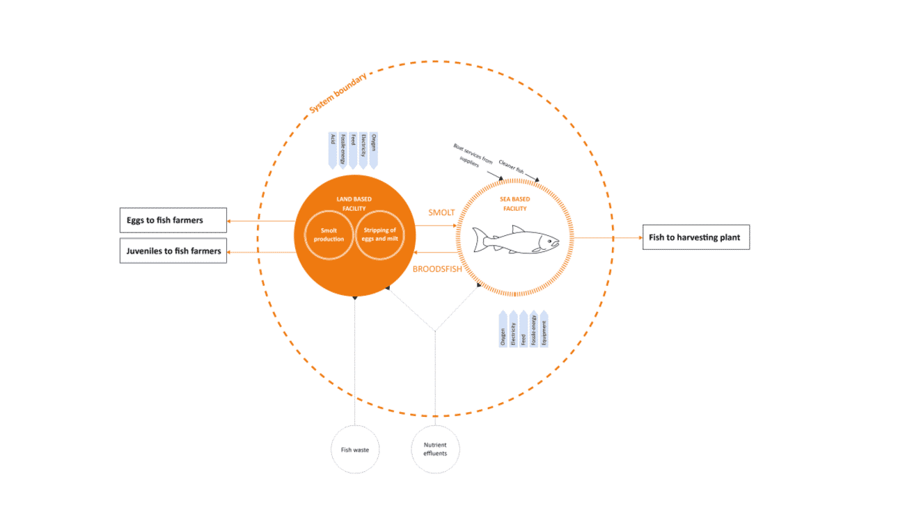 Do salmonid eggs come with a carbon footprint? | The Fish Site