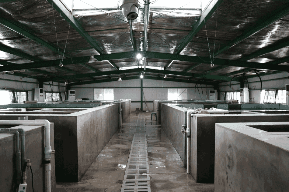 How China is reinventing its aquaculture sector | The Fish Site