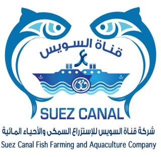 Spotlight on Suez: updates from one of Africa’s most ambitious ...