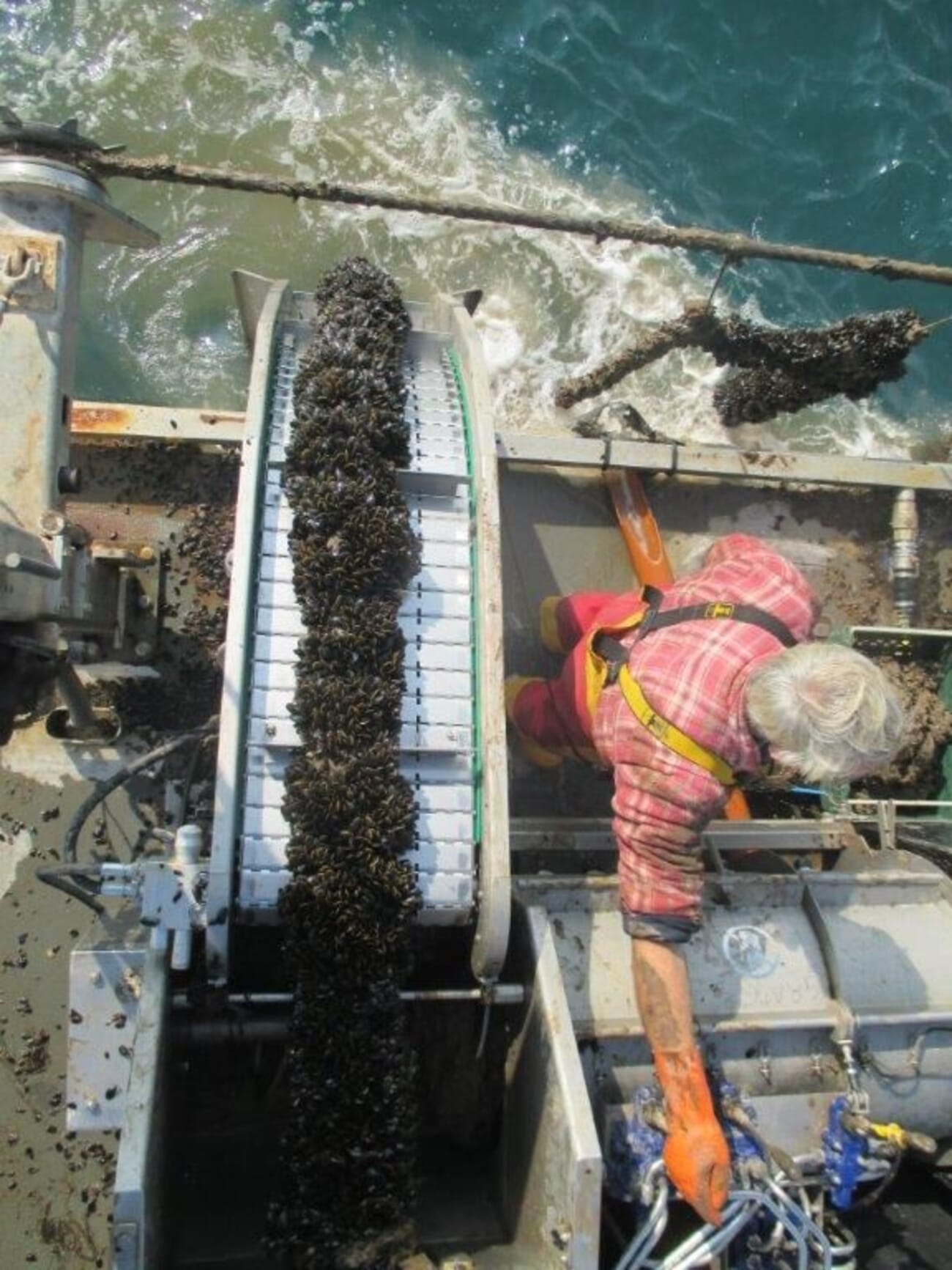 Far-out farming | The Fish Site