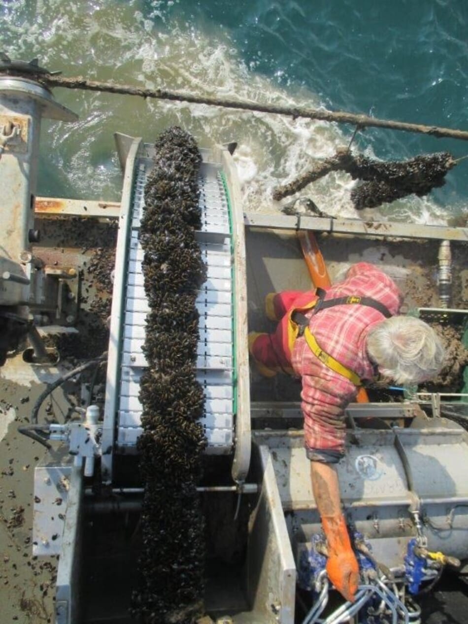 Far-out farming | The Fish Site