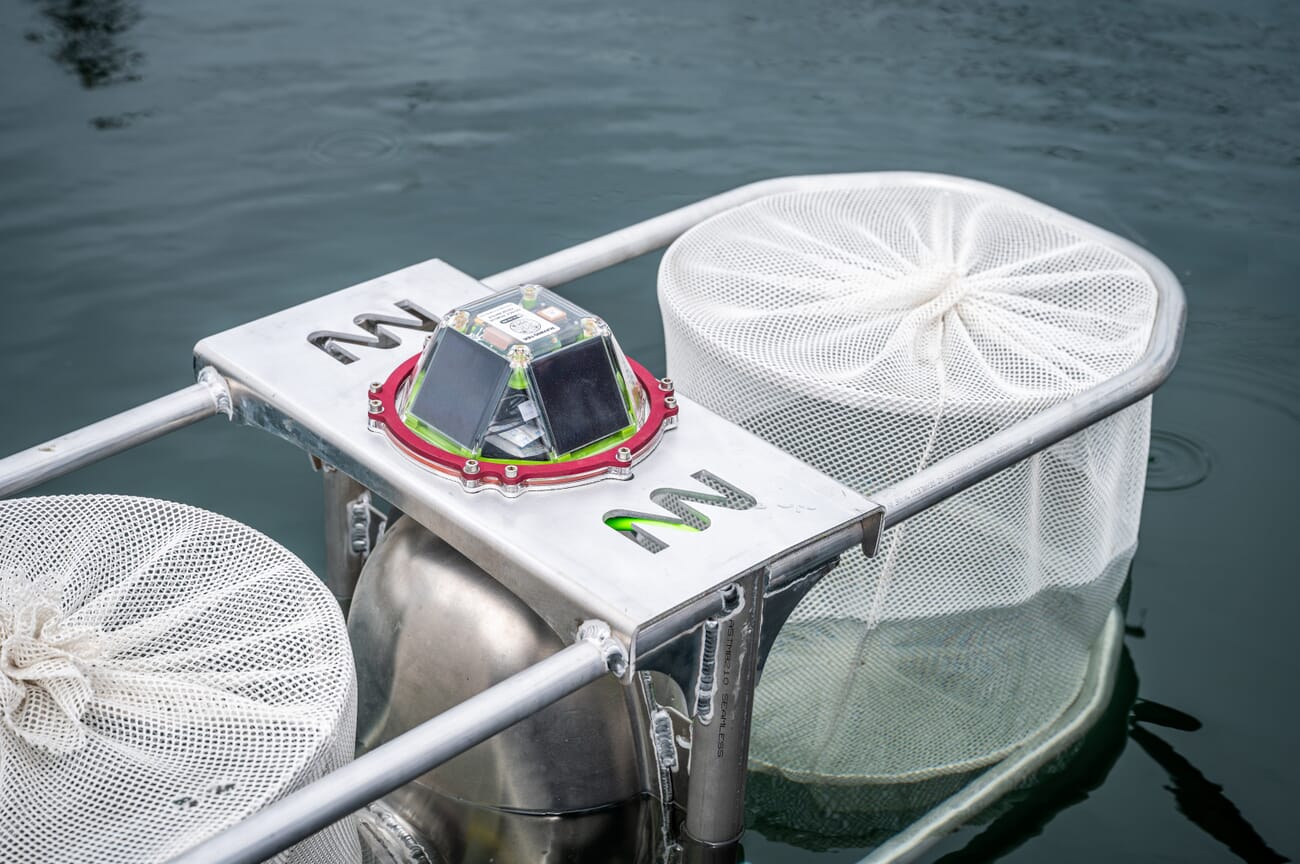 Blazing a trail for blue carbon | The Fish Site