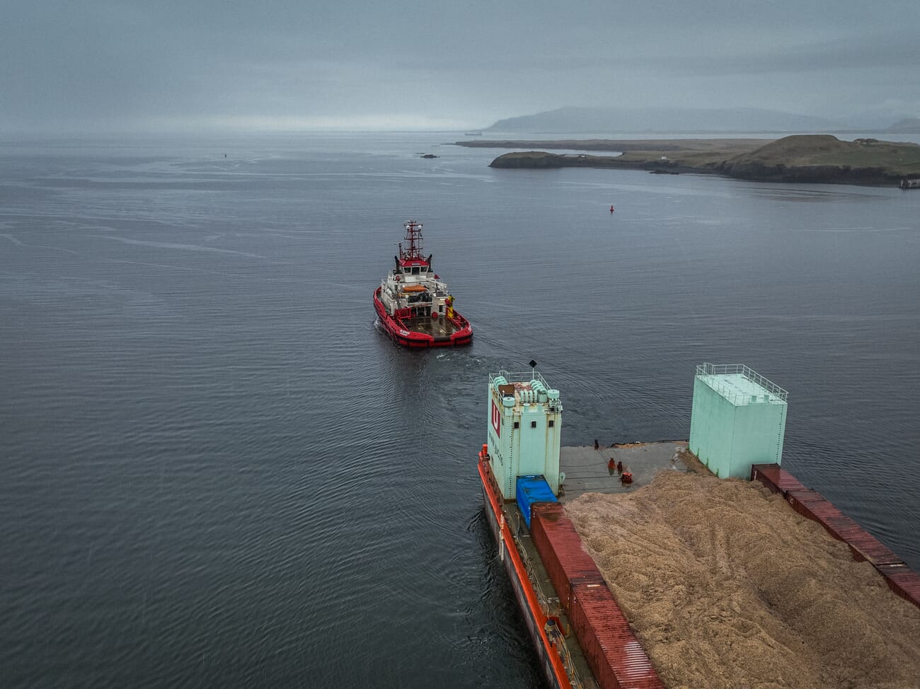 Blazing a trail for blue carbon | The Fish Site