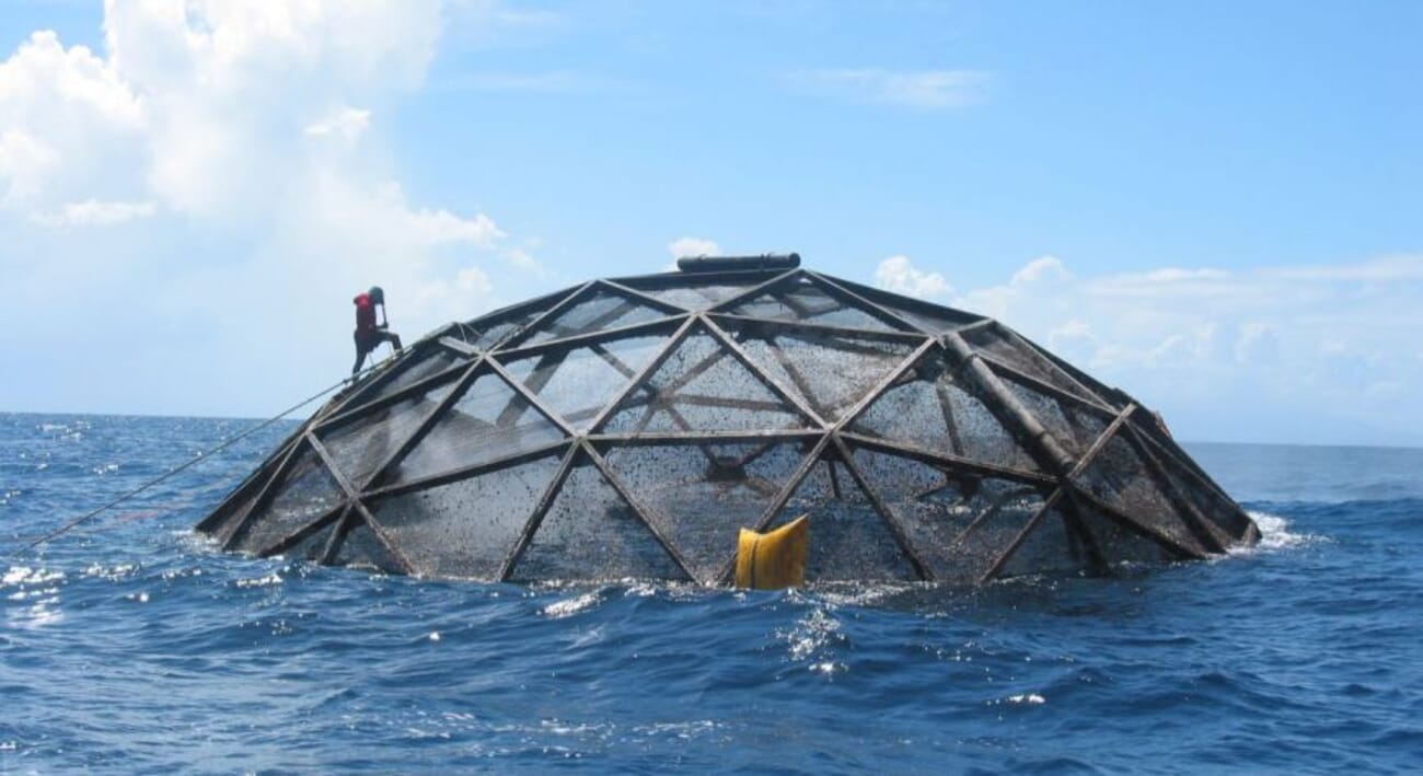 InnovaSea adds to offshore aquaculture expertise | The Fish Site