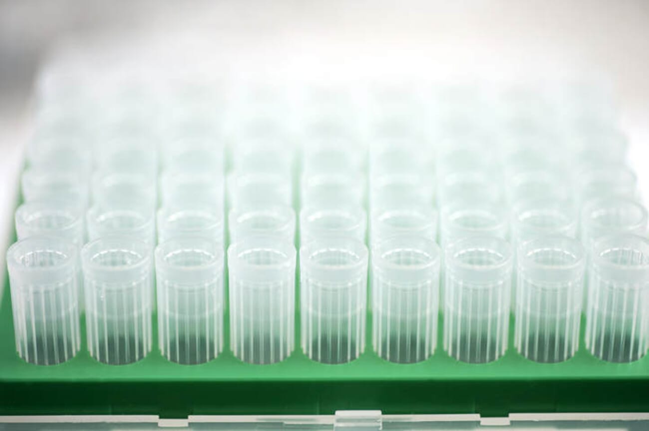Jellyfish venom stops cancer cell growth in lab trial | The Fish Site