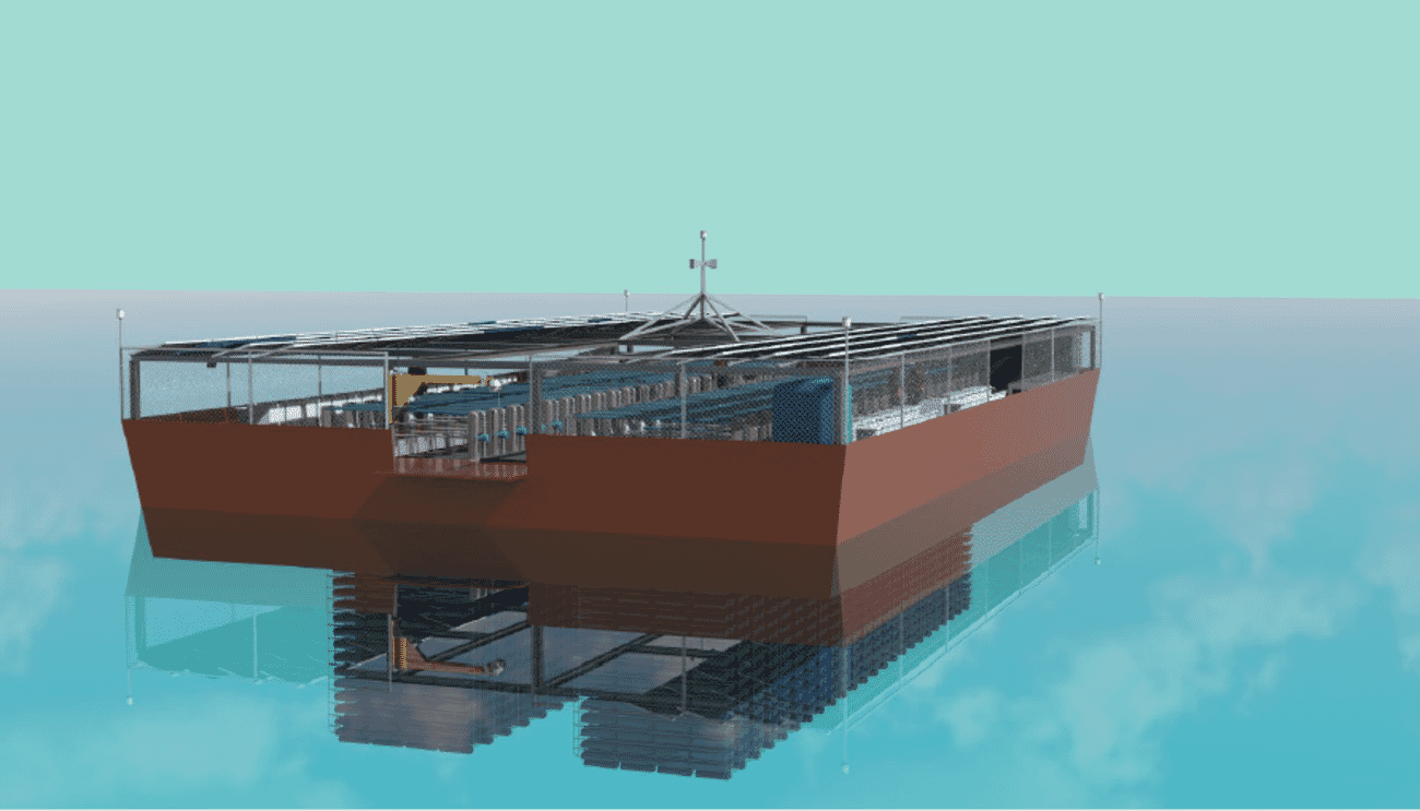 Restorative aquaculture: Solar Oysters | The Fish Site