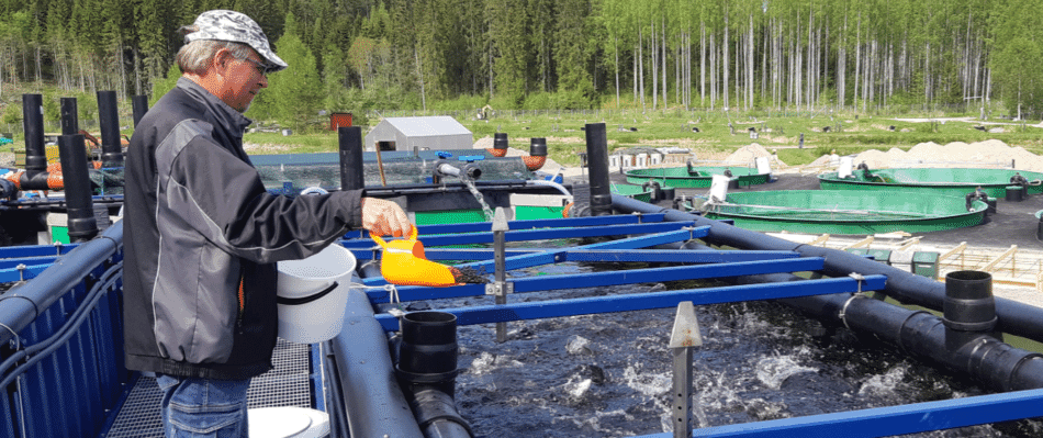 The modular fish farm made from shipping containers | The Fish Site