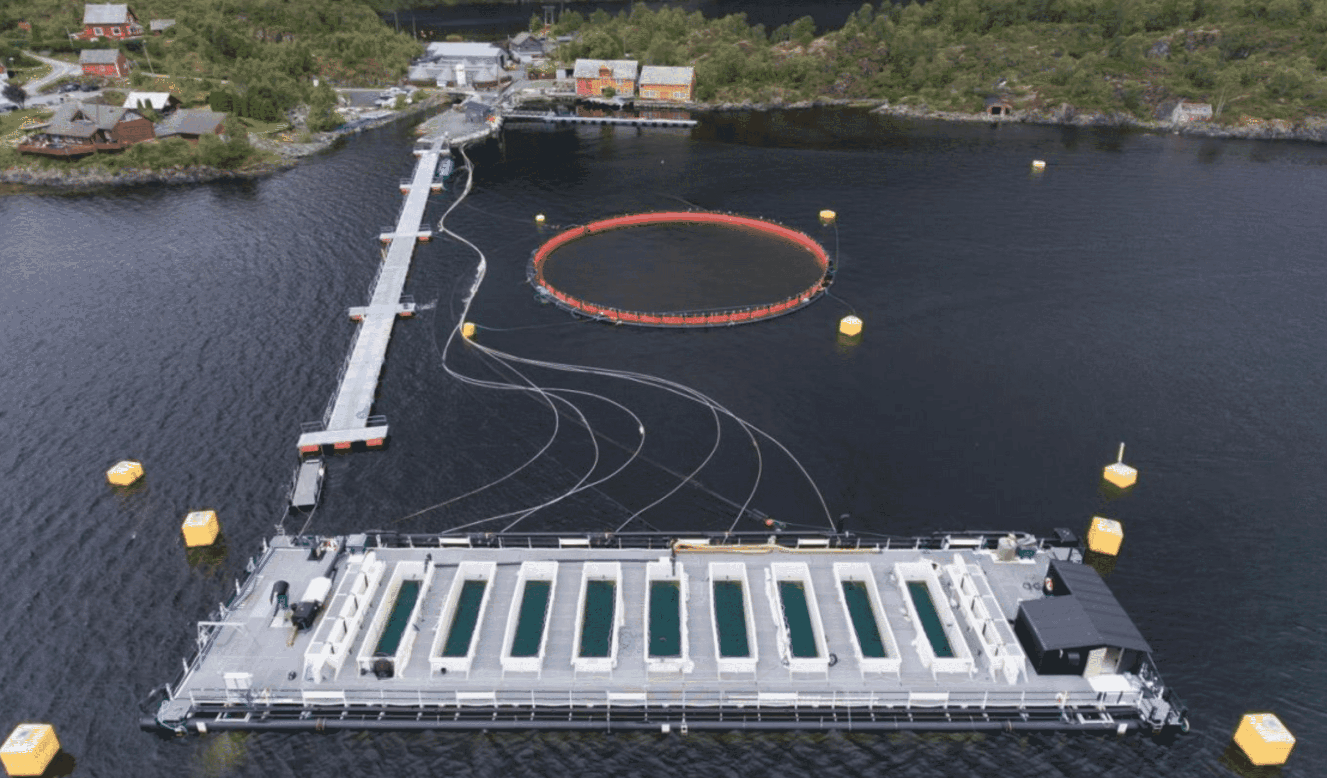 New trial backs semi-closed containment salmon aquaculture | The Fish Site