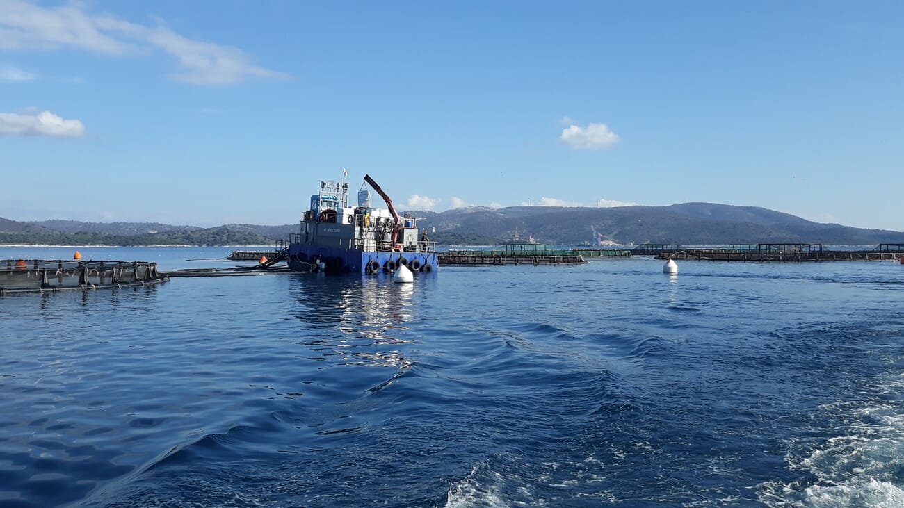 ASC side event at UN Ocean Conference highlights the role aquaculture ...