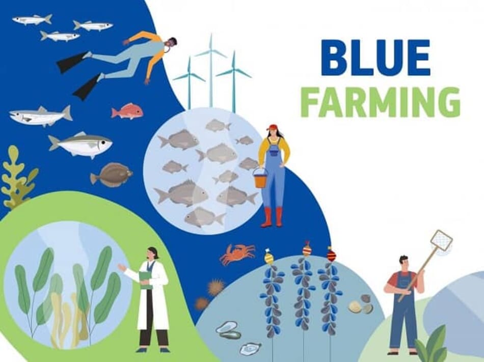European Commission publishes its updated sustainable aquaculture ...