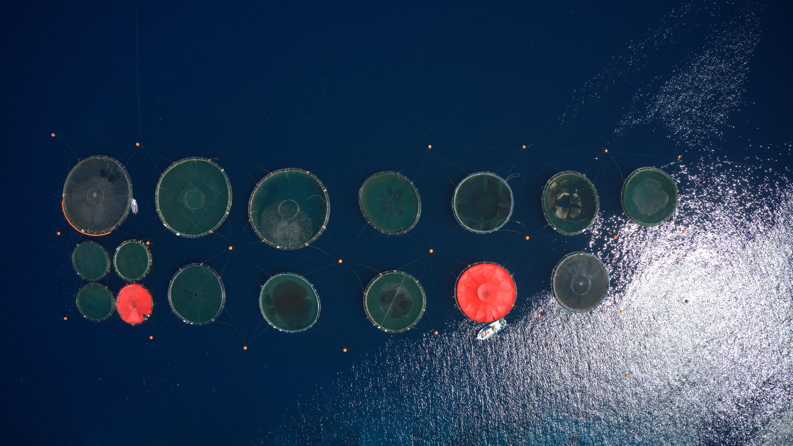 Can aquaculture and tourism be compatible in Greece? | The Fish Site