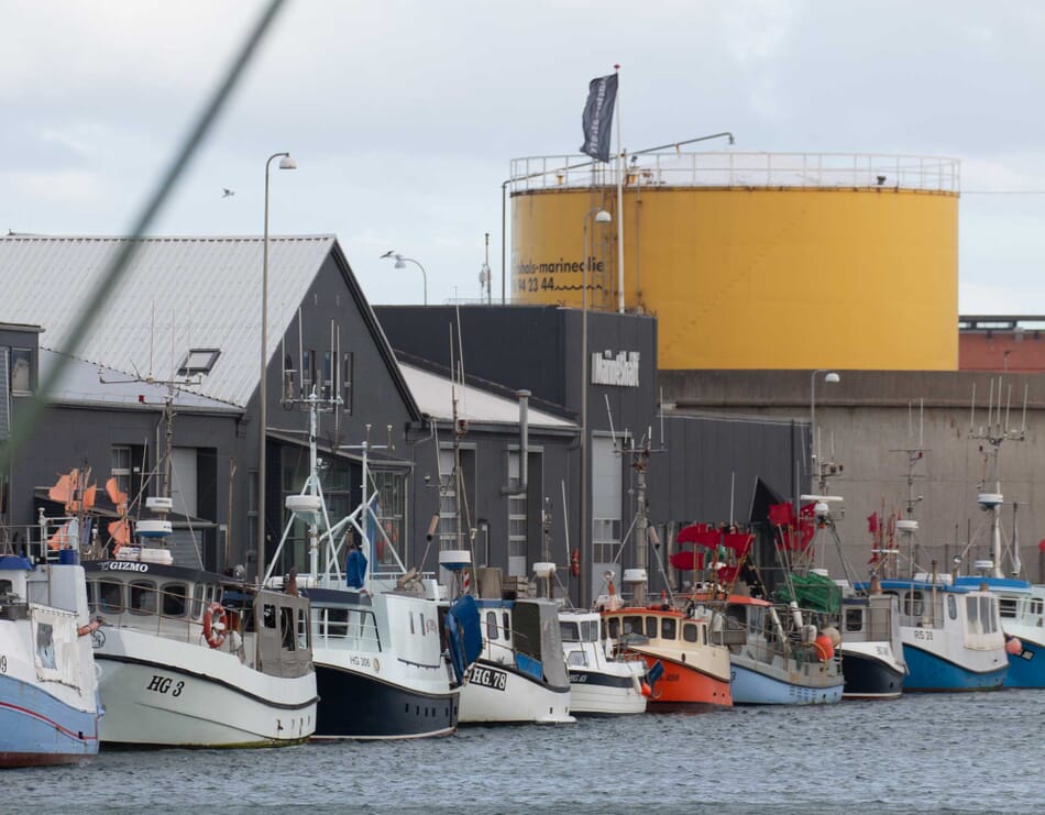 Fully circular trout farm planned in Denmark | The Fish Site