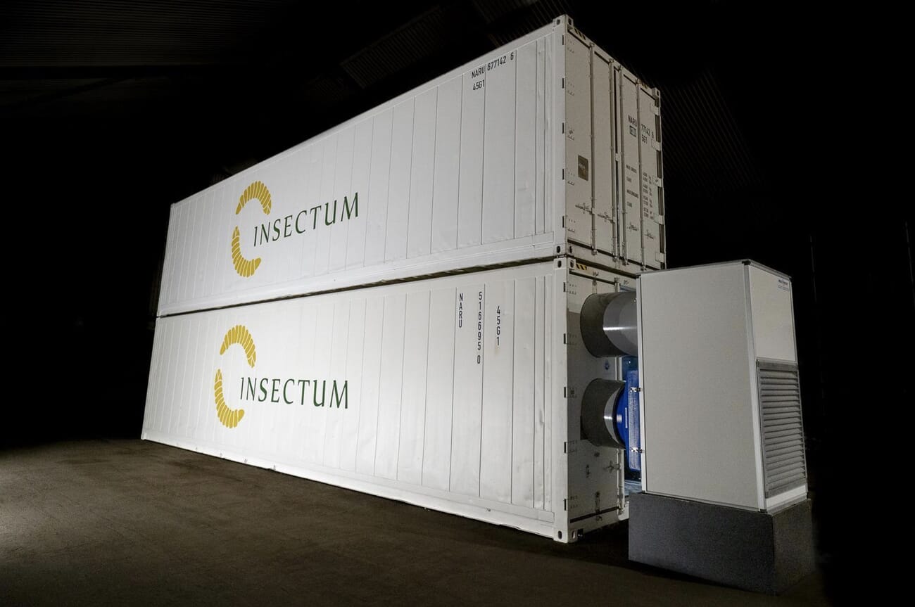 Insectum launches mobile, modular black soldier fly farms | The Fish Site