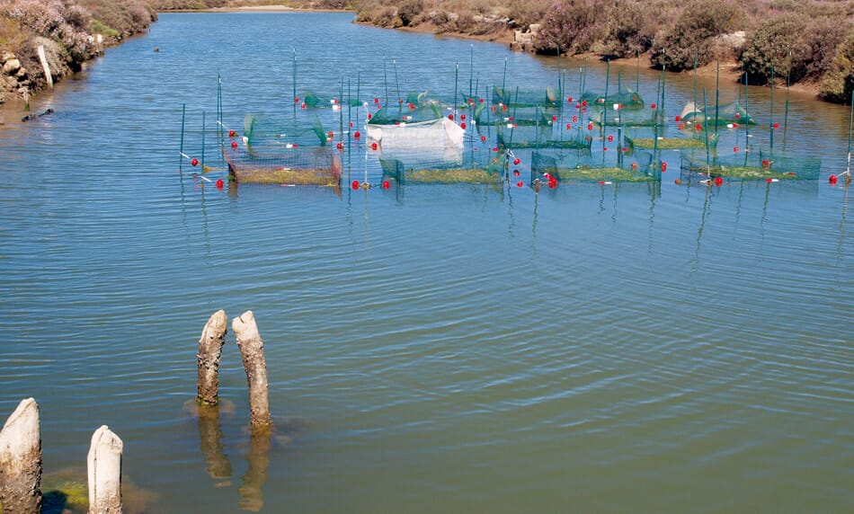 Integrate project identifies the keys to creating a global definition ...