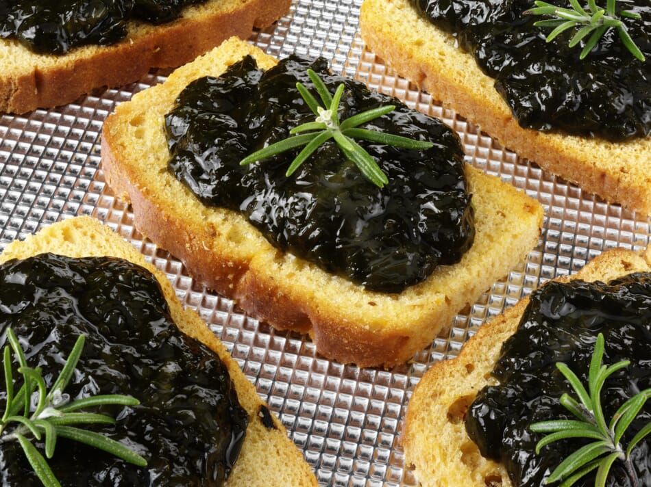 Mapping a course for Welsh seaweed success | The Fish Site