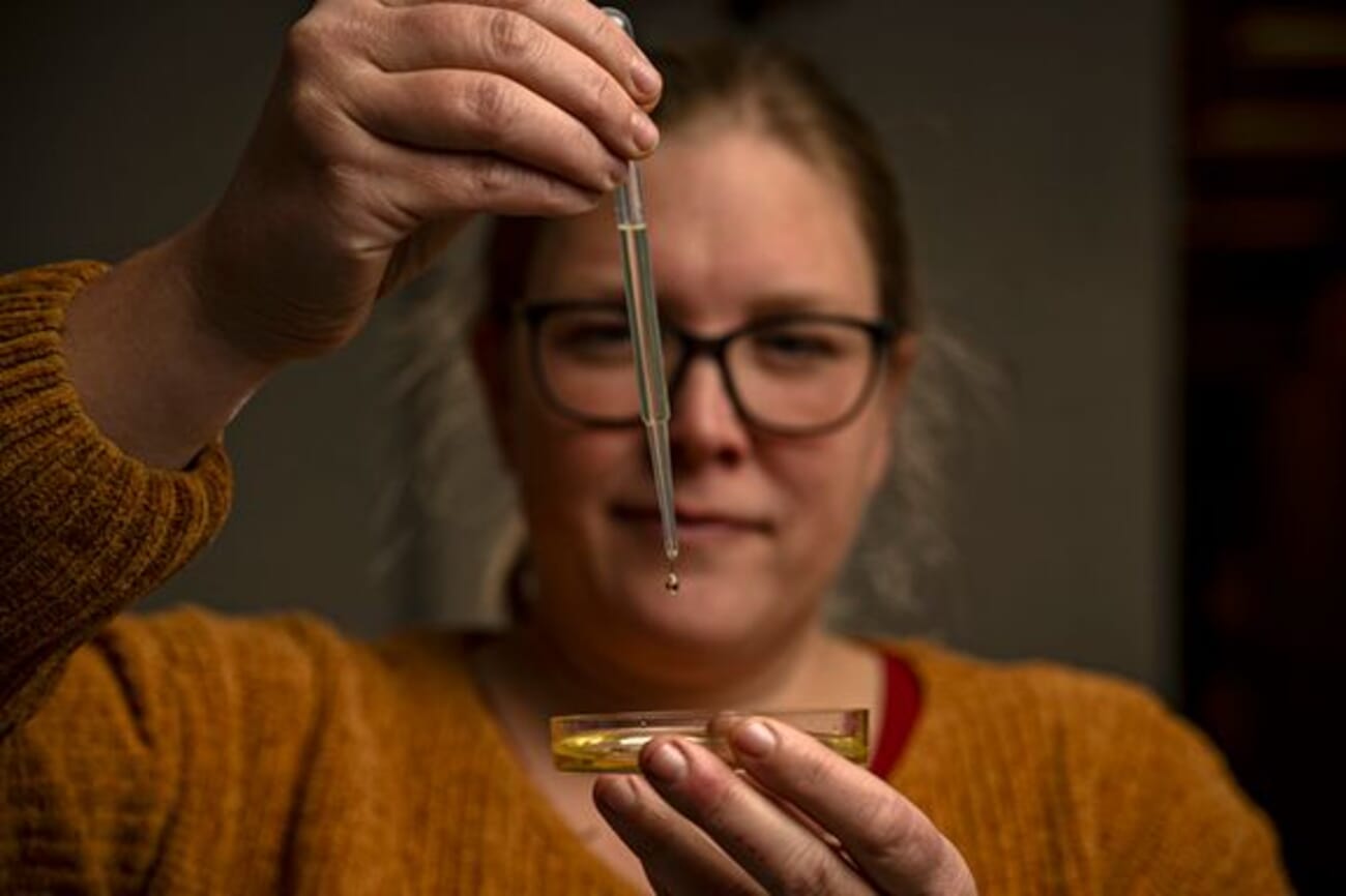 Breeding programme enhances microalgae growth and omega-3s | The Fish Site
