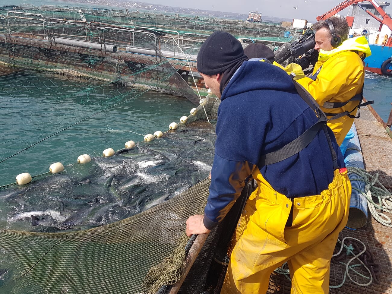 How France’s flagship salmon farm plans to adapt to climate change ...