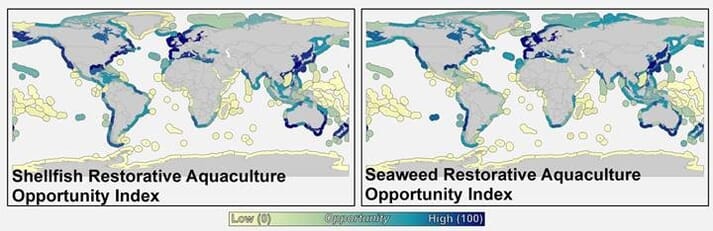 Why the North Sea needs more aquaculture | The Fish Site