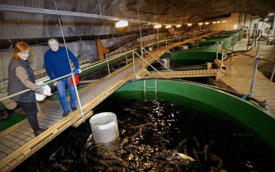 Subterranean homsesick rainbows: notes from “the world’s only ...