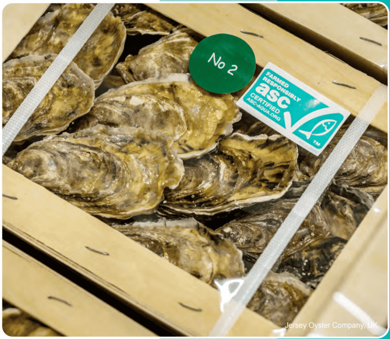 ASC marks ten years of transforming aquaculture | The Fish Site