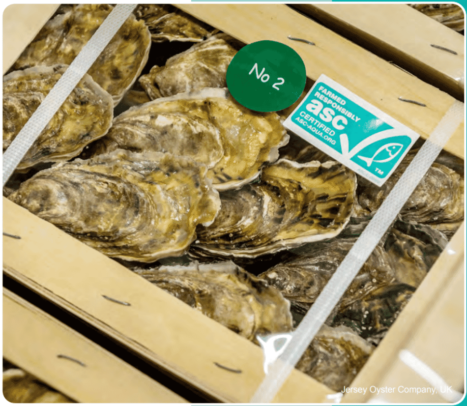 ASC marks ten years of transforming aquaculture | The Fish Site