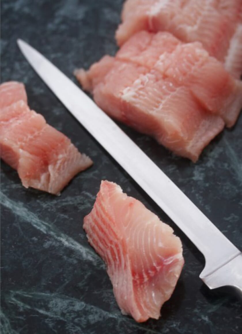 Dutch courage pays off for catfish farming dynasty | The Fish Site