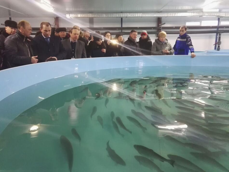 Russian aquaculture hit hard by sanctions | The Fish Site