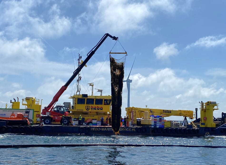 First seaweed harvest at offshore wind farm | The Fish Site
