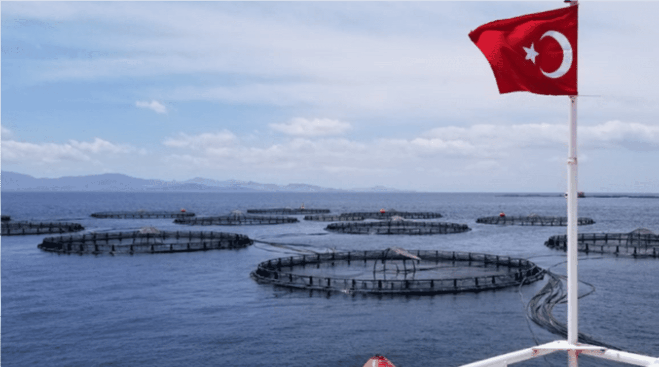 Lessons from the Young Turks: how Turkey became an aquaculture ...