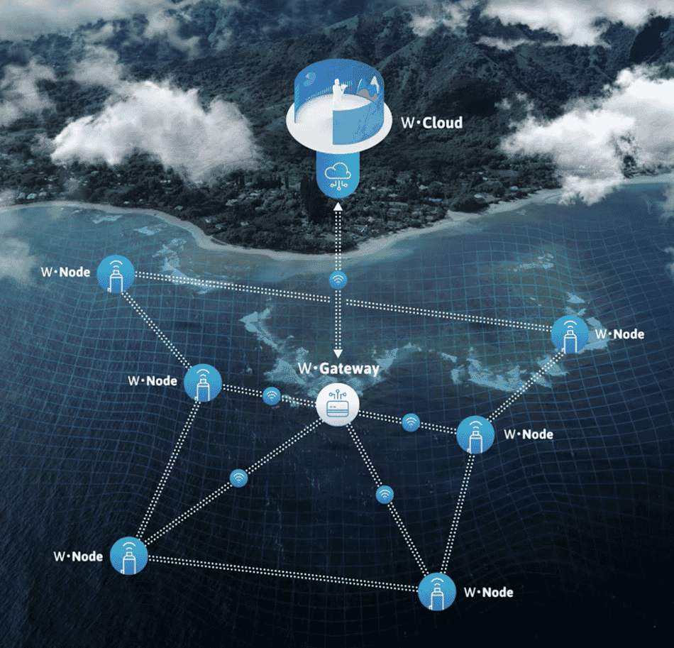 New EU project brings IoT technology to aquaculture sector | The Fish Site