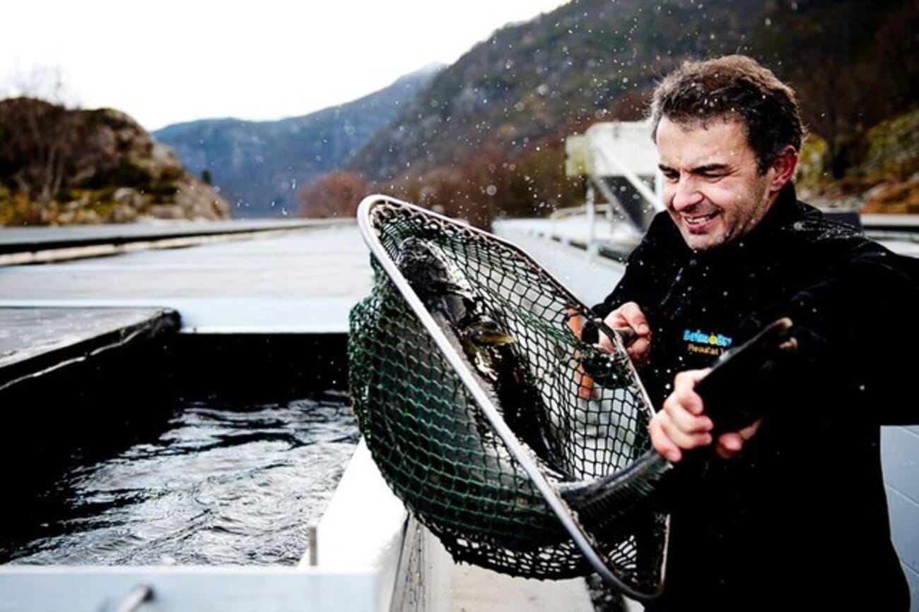 Diversification of aquaculture – will it ever happen and why do we need ...