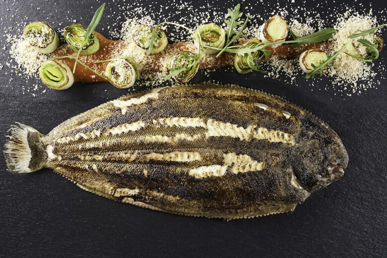 Stolt Sea Farm: a tale of two flatfish | The Fish Site