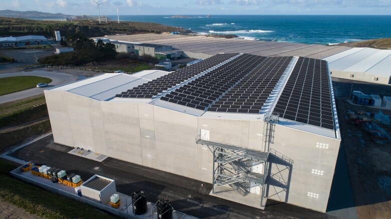 Stolt Sea Farm: a tale of two flatfish | The Fish Site