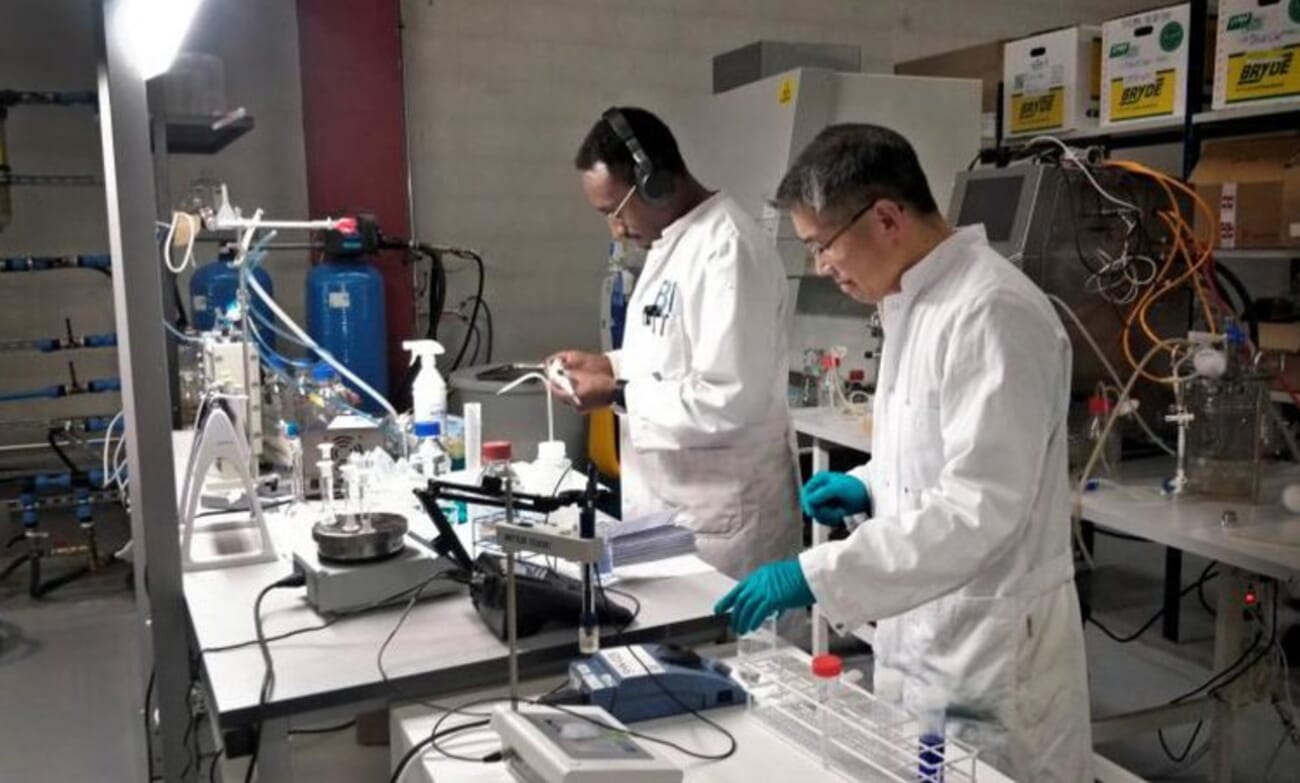 Algae innovator partners with US government to help control aquatic ...