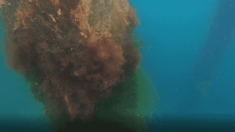 Artificial reef with innovative concrete expected to increase ...