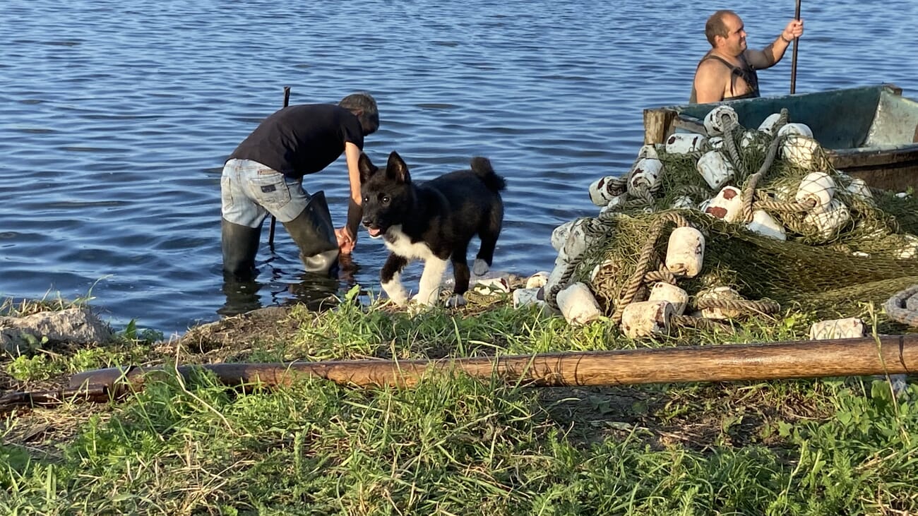 Farming on the front line: a Ukrainian perspective | The Fish Site