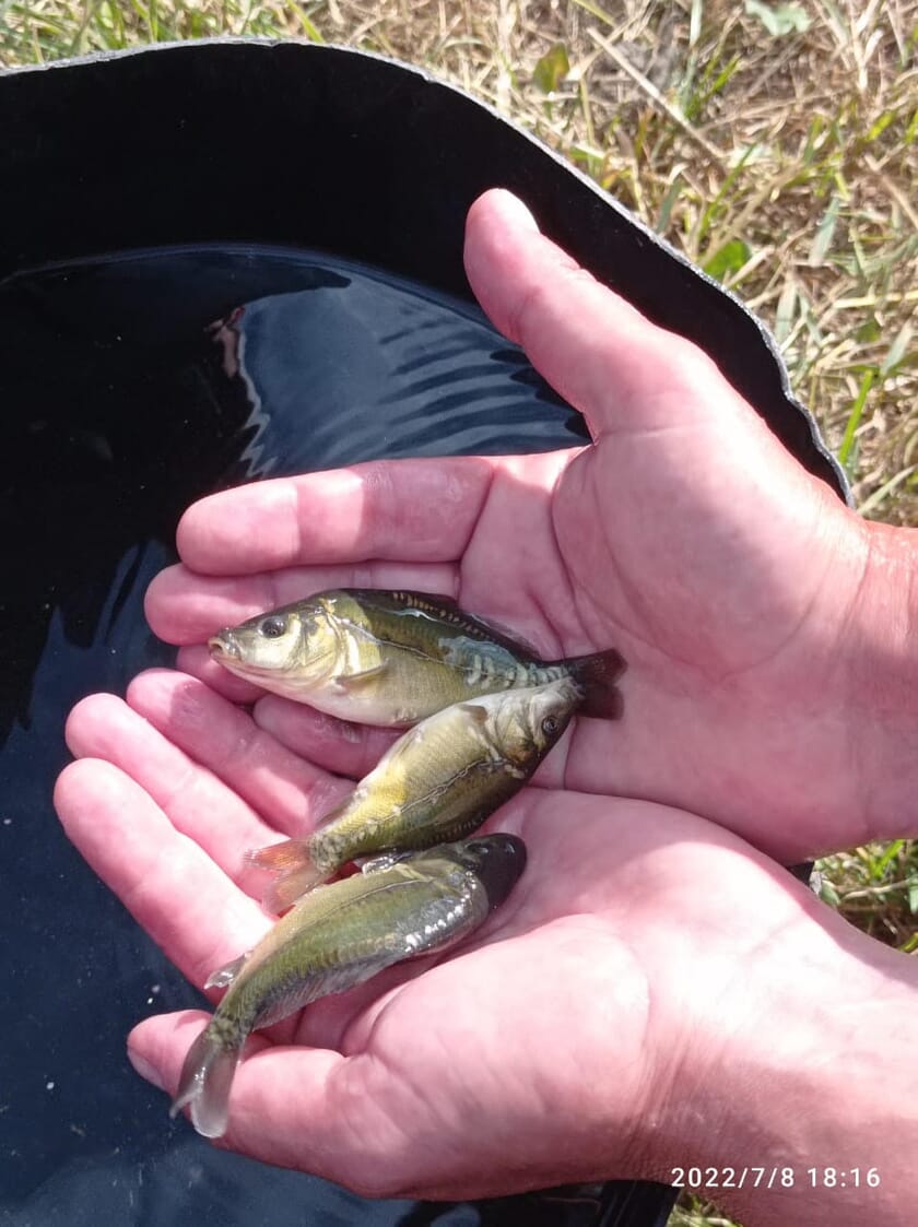 Farming on the front line: a Ukrainian perspective | The Fish Site