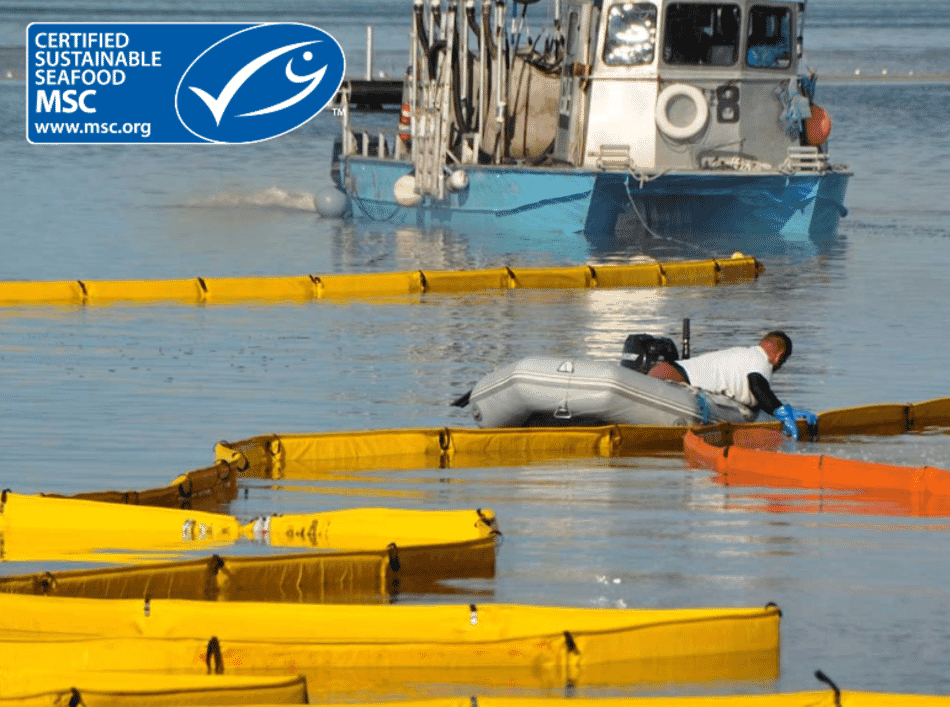 Great Salt Lake’s Artemia fishery lands MSC certification | The Fish Site