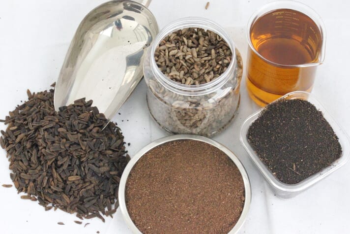 £1 million insect research lab opens in York | The Fish Site