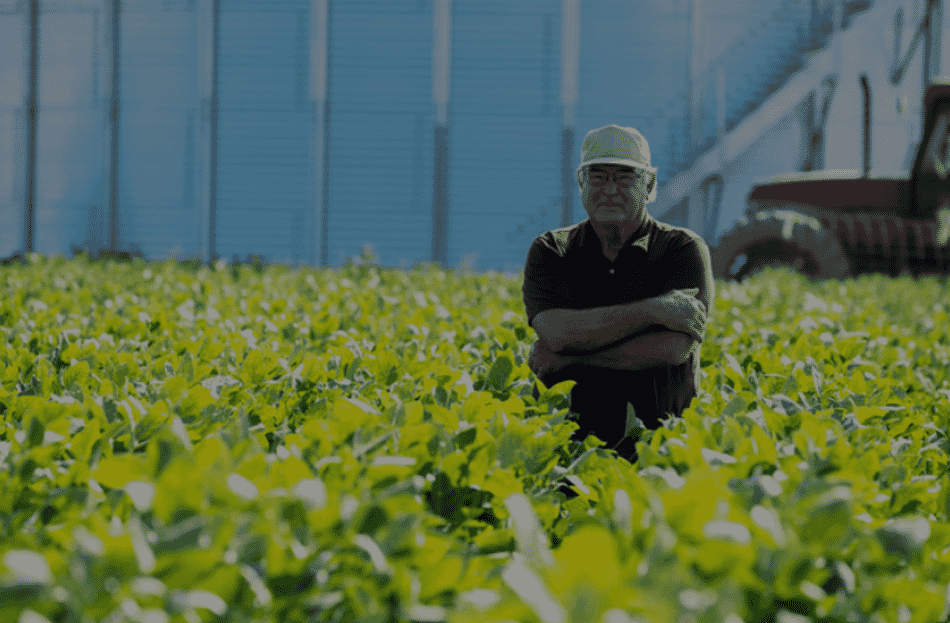 Startups sought for $170,000 Soy Innovation Challenge | The Fish Site