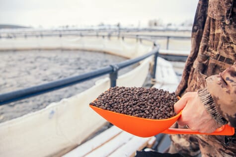 A new means to asses the footprint of feeds | The Fish Site