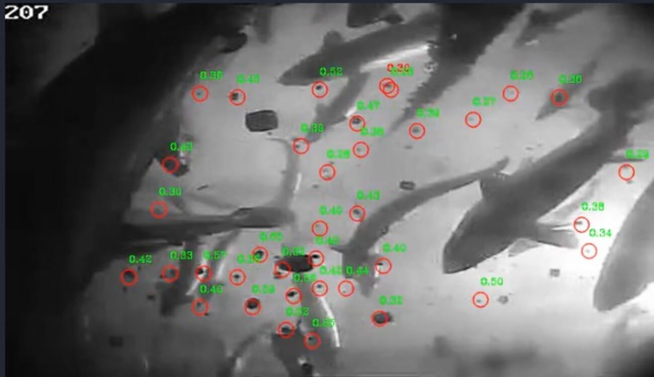 A practical guide to using AI in aquaculture | The Fish Site