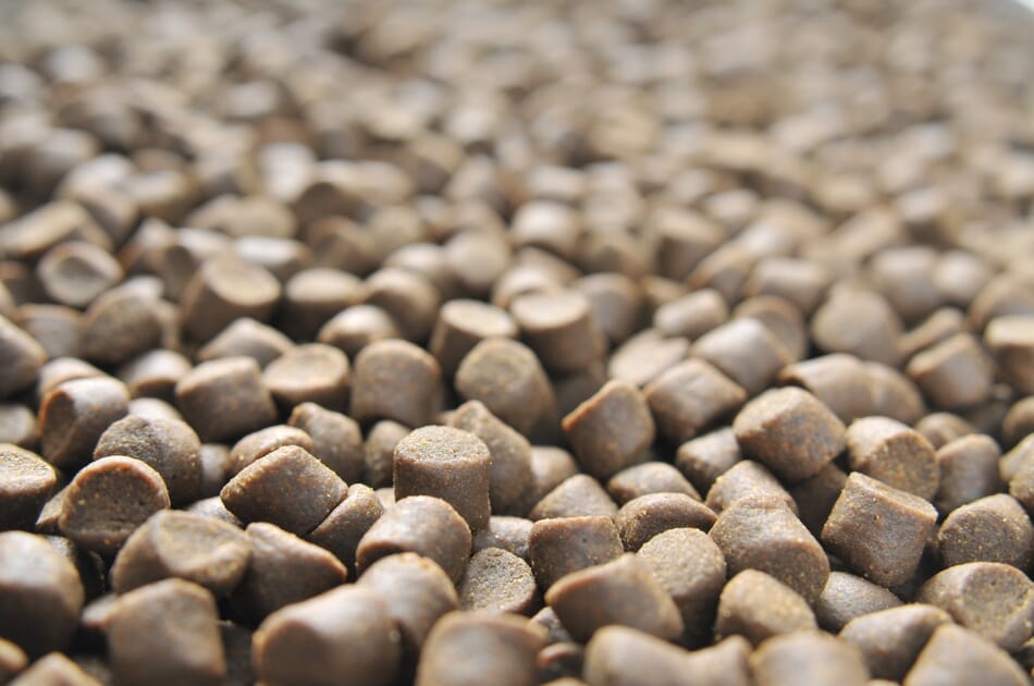 The nine most promising protein-rich aquafeed ingredients | The Fish Site