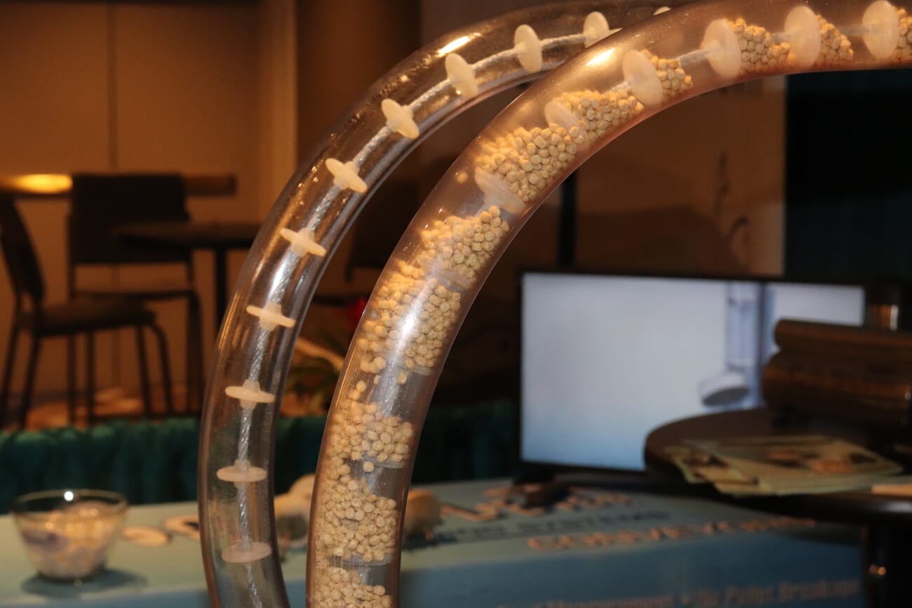 Principles of fish nutrition | The Fish Site