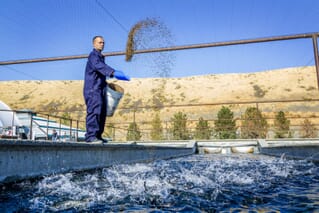 Principles of fish nutrition | The Fish Site