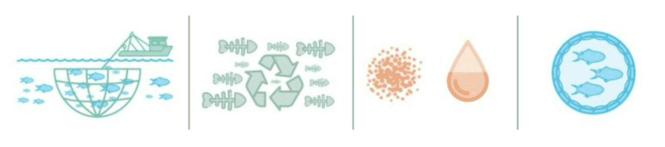 New data on marine ingredients shows they are being used more ...